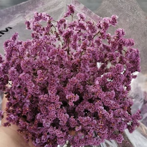 Preserved German Statice, Limonium Dried Flower, Floral Arrangement ...