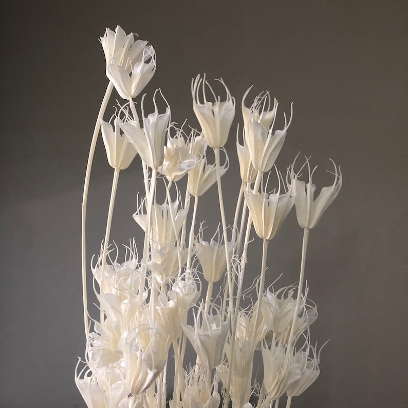 Star Anise Bleached Dried Flower, Wedding Decoration, Home Decoration ...