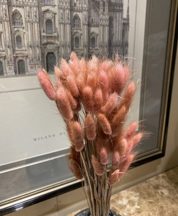 60 Sticks / Bunch Red High Quality Natural Dried Flower Rabbit - Etsy