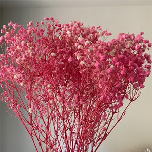 Natural Baby's Breath Flower Gypsophila, Bouquet, Home Decoration ...