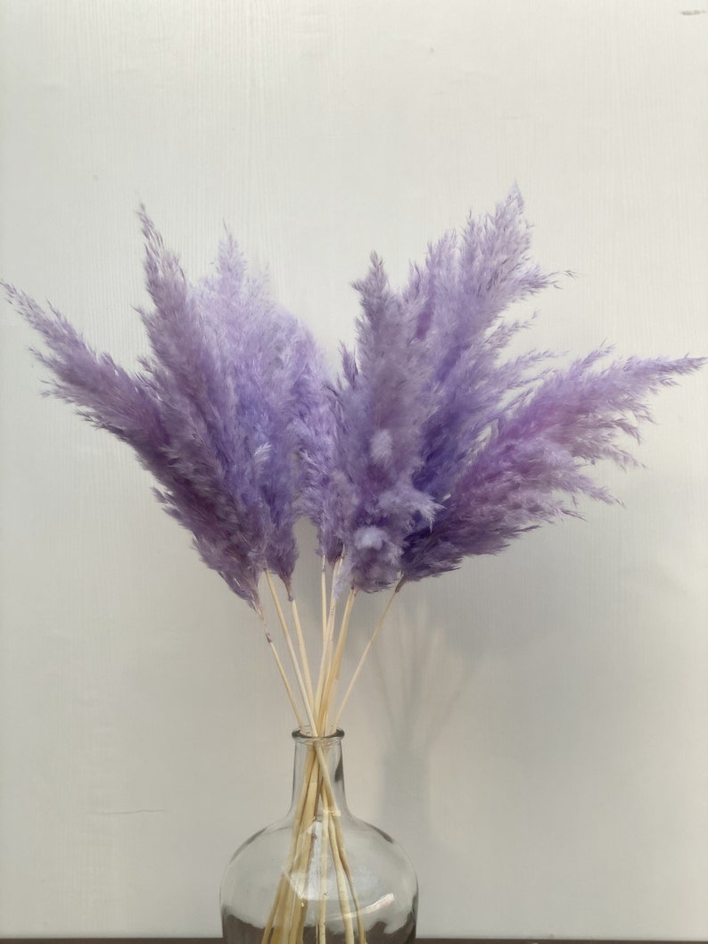 10 X Purple PAMPAS GRASS 24 Dried Flowers for Home - Etsy