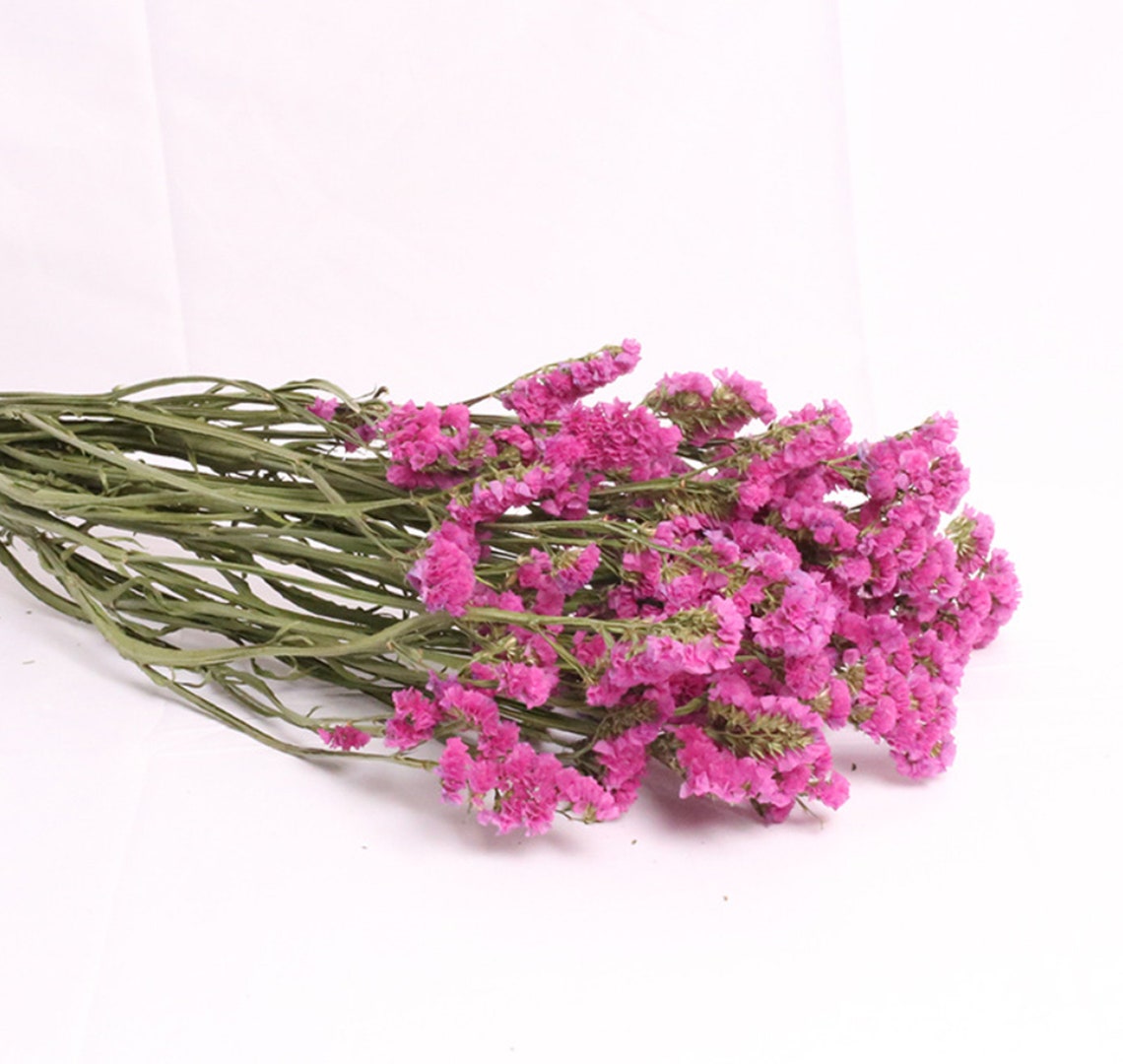 Preserved Statice Pink, Lavender and White Colors Dried Flower Bouquet ...