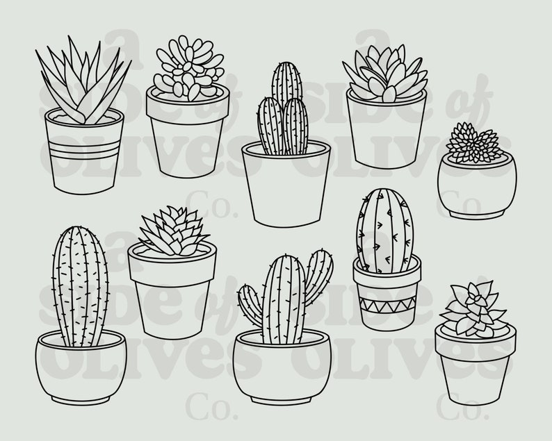 Succulents & Cacti Clipart Pack - Hand Drawn Doodles. Cactus, Plants ...