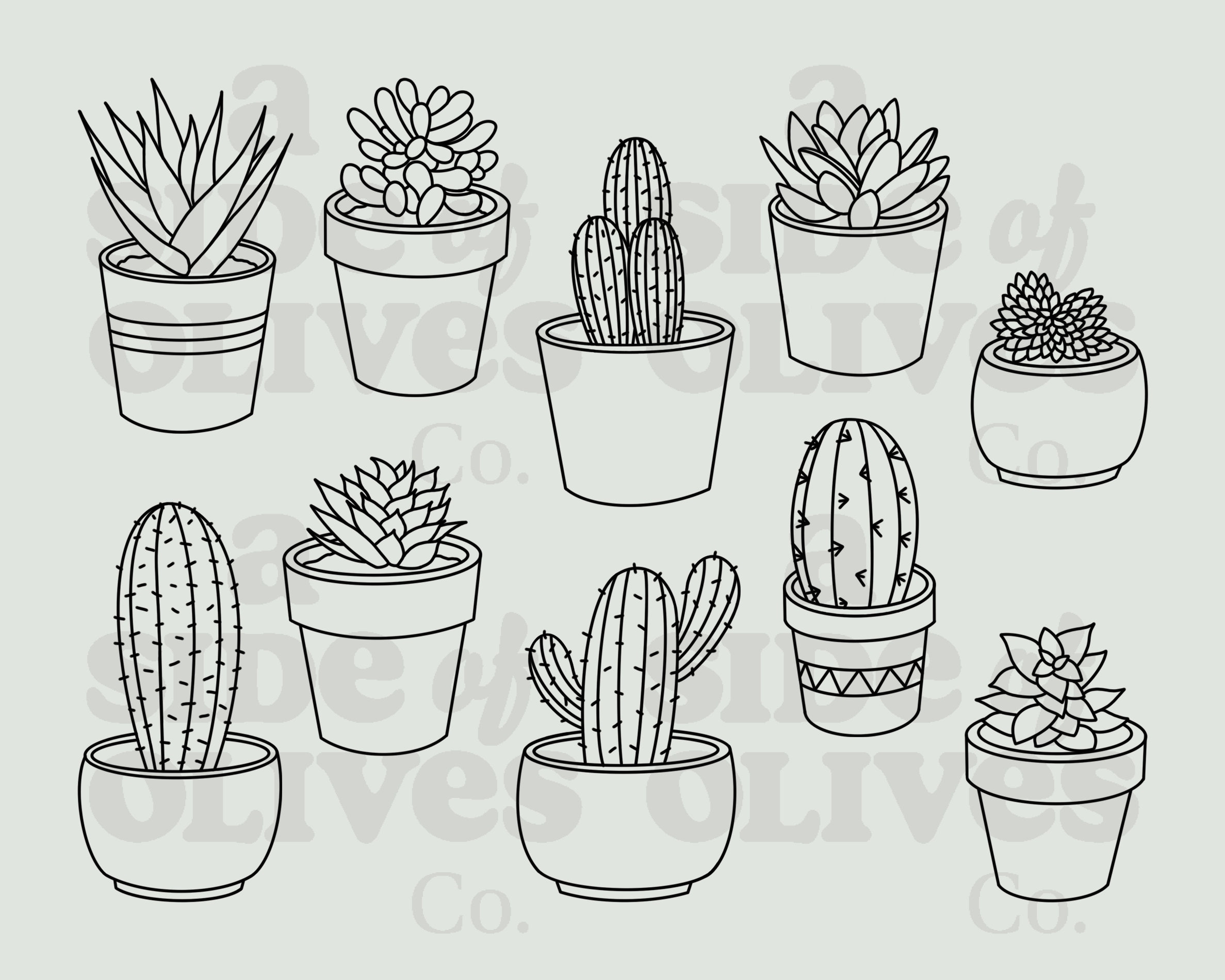 Succulents & Cacti Clipart Pack Hand Drawn Doodles. Cactus, Plants, Pot ...