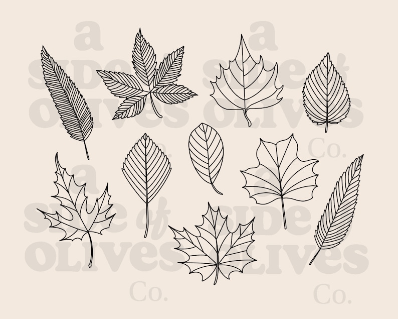 Autumn Leaves Clipart Pack Hand Drawn Doodles. Fall Oak | Etsy