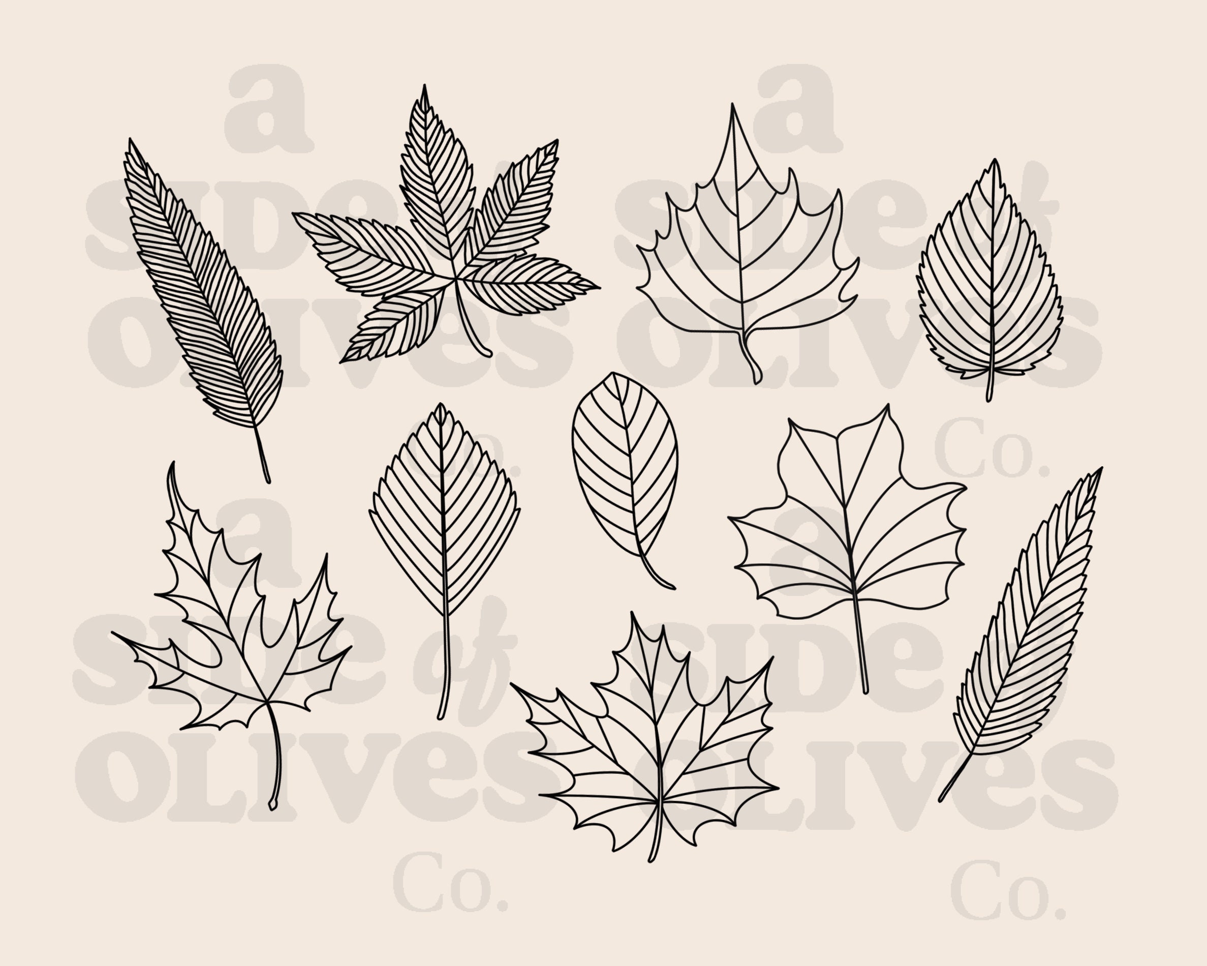 Autumn Leaves Clipart Pack Hand Drawn Doodles. Fall, Oak, Maple, Leaf ...