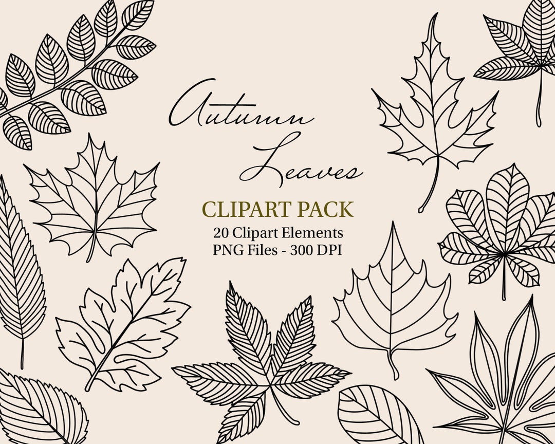 Autumn Leaves Clipart Pack Hand Drawn Doodles. Fall, Oak, Maple, Leaf ...
