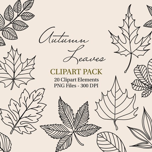 Fall Clipart Autumn Clip Art Hand Drawn Line Art Fall - Etsy