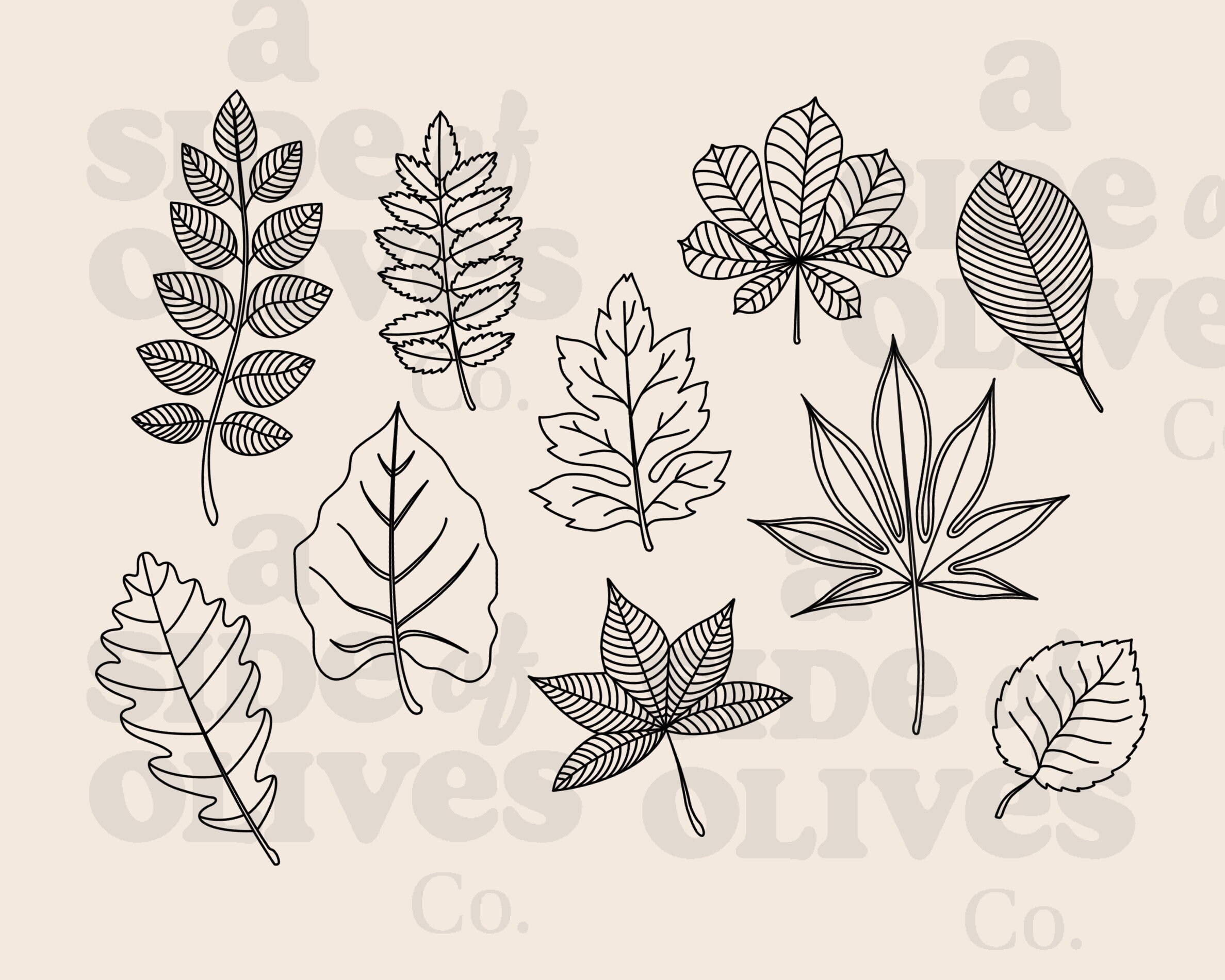 Autumn Leaves Clipart Pack - Hand Drawn Doodles. Fall, Oak, Maple, Leaf ...