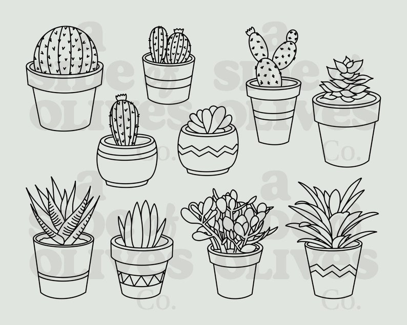 Succulents & Cacti Clipart Pack - Hand Drawn Doodles. Cactus, Plants ...