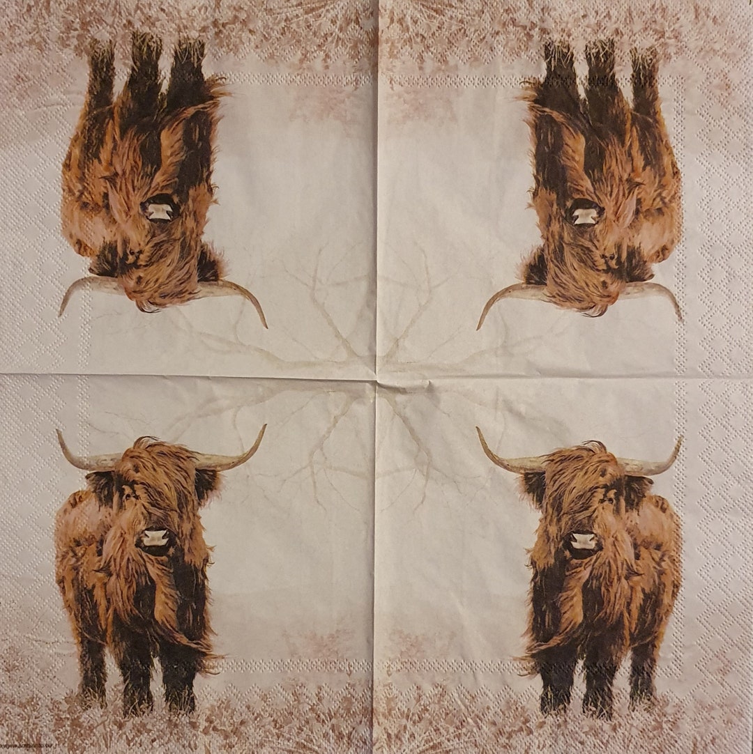Highlander Cows Set of 4 Paper Napkins and Single Napkin Also Available ...