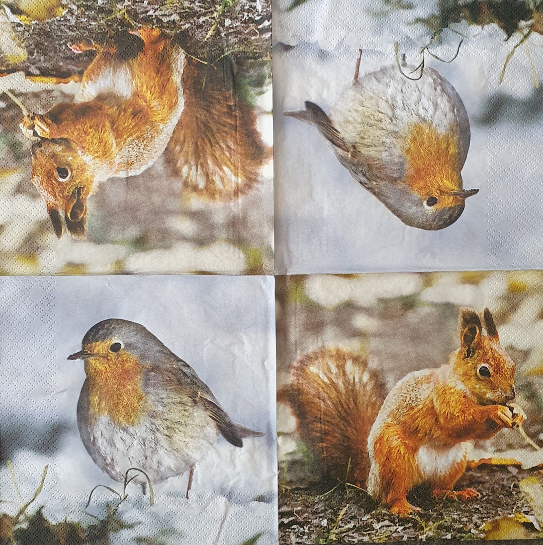 Squirrel and Robin Set of 4 Napkins - Etsy