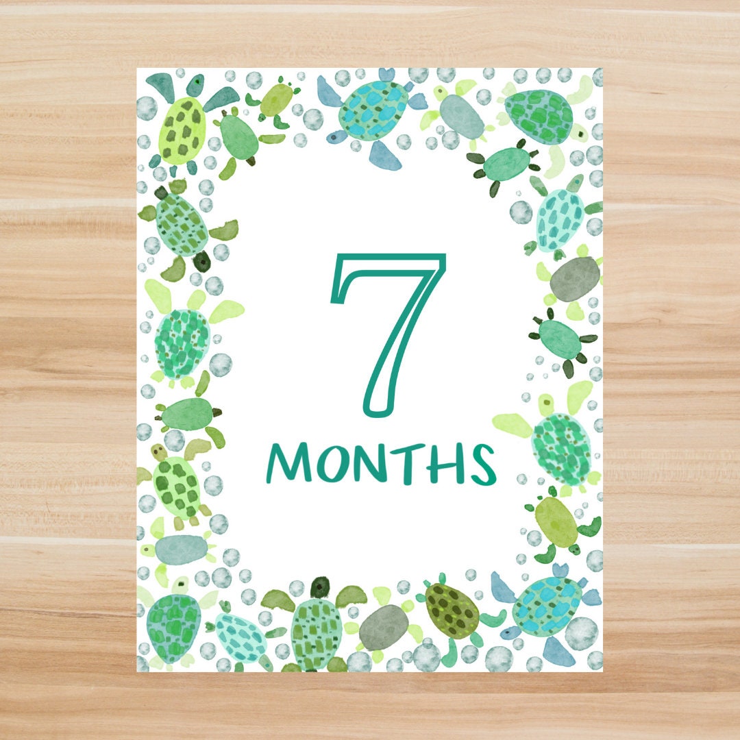 Digital - Baby Milestone Printable Cards. Turtle Milestone Cards ...