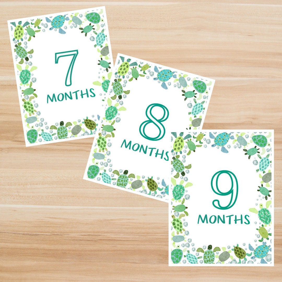 Digital - Baby Milestone Printable Cards. Turtle Milestone Cards ...