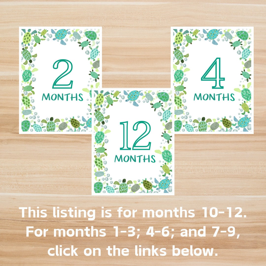 Digital Baby Milestone Printable Cards. Turtle Milestone Cards. Months ...