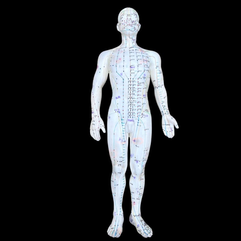 Acupuncture Doll - Etsy