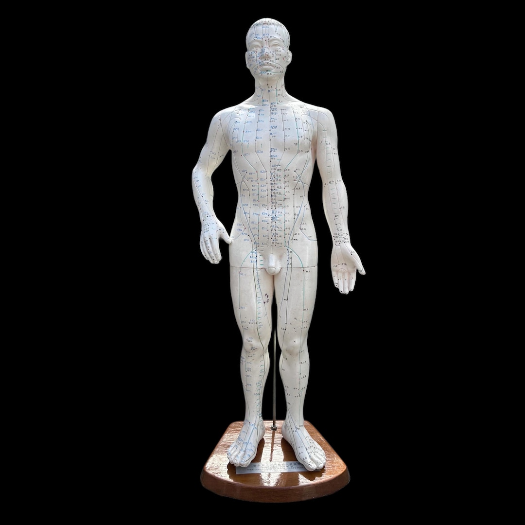 Vintage 1970s Acupuncture Treatment Point Male Model Rubber Doll With ...