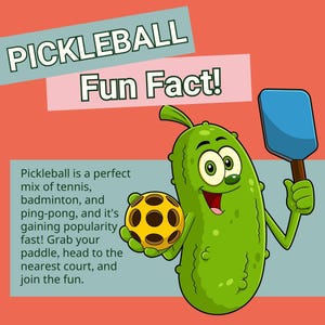 Custom Pickleball Paddle for Her, Christian Pickleball Paddle Ball Kit ...