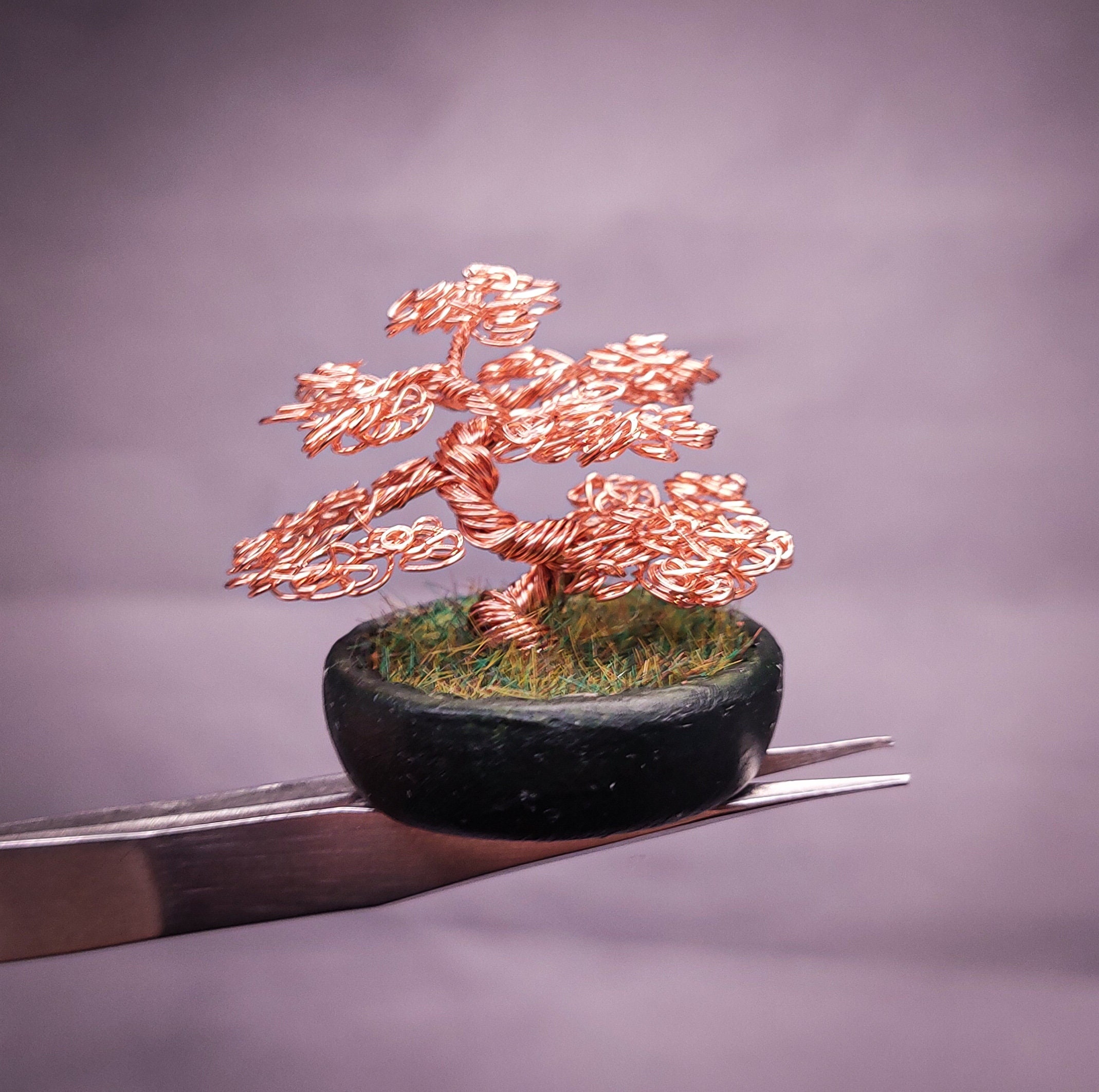 Wire Tree Sculpture Bonsai Art Made Using Copper Wire and Hand Painted ...