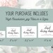 The Bar Will Be Closed During Dinner, Grab A Drink Sign, Wedding Bar ...