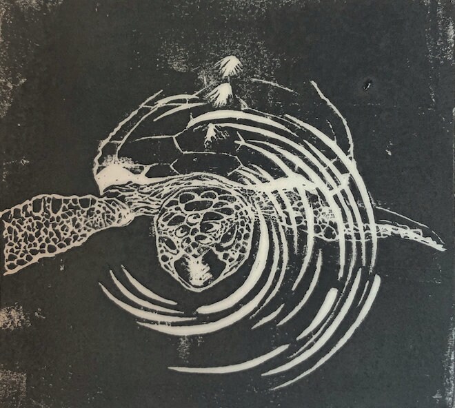 Turtle Lino Print - Etsy