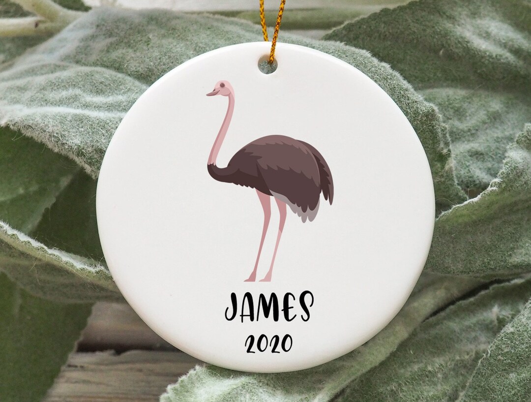 Personalized Ostrich Christmas Ornament, Ostrich Christmas Tree ...