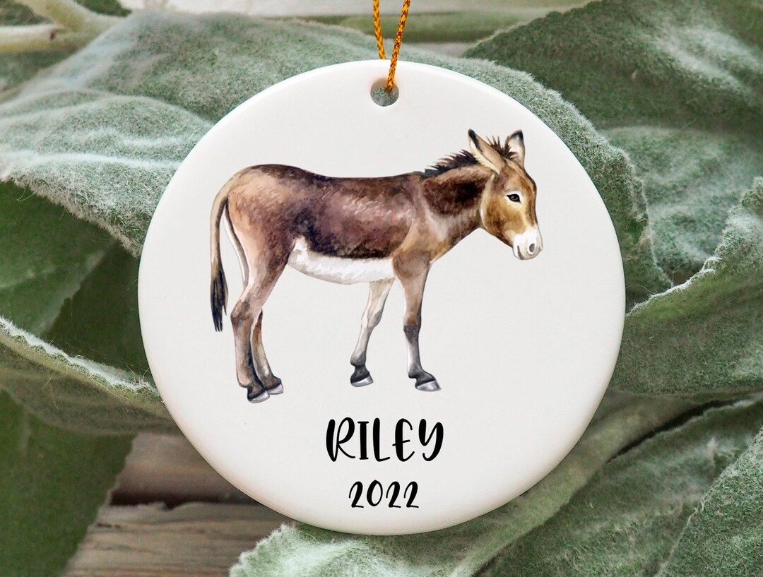 Personalized Donkey Christmas Ornament, Custom Donkey Gift Idea, Donkey ...