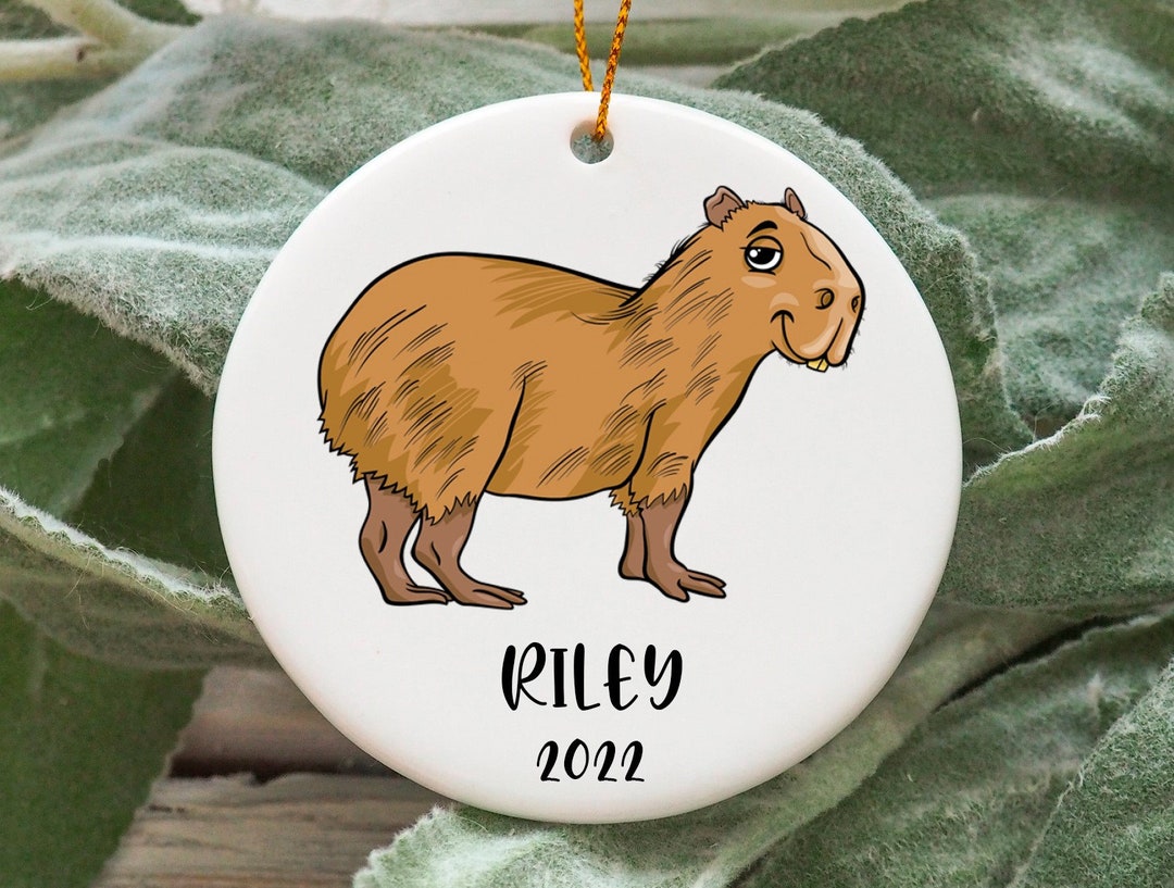 Personalized Capybara Christmas Ornament, Custom Capybara Gift Idea ...