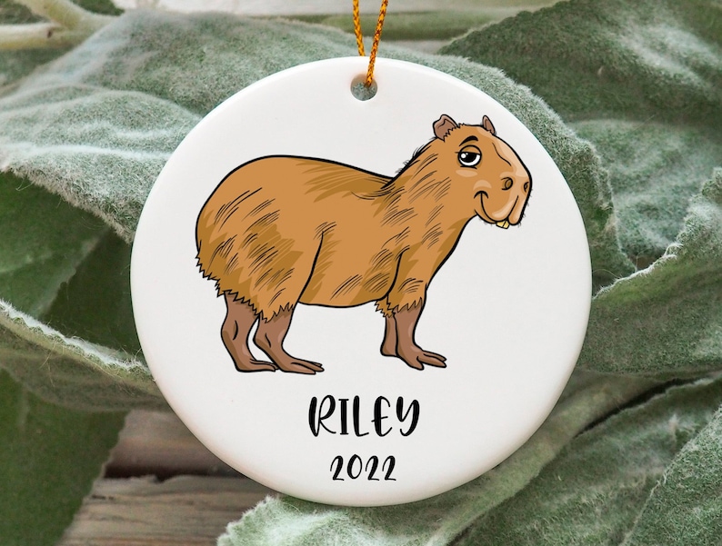 Personalized Capybara Christmas Ornament Custom Capybara Gift - Etsy