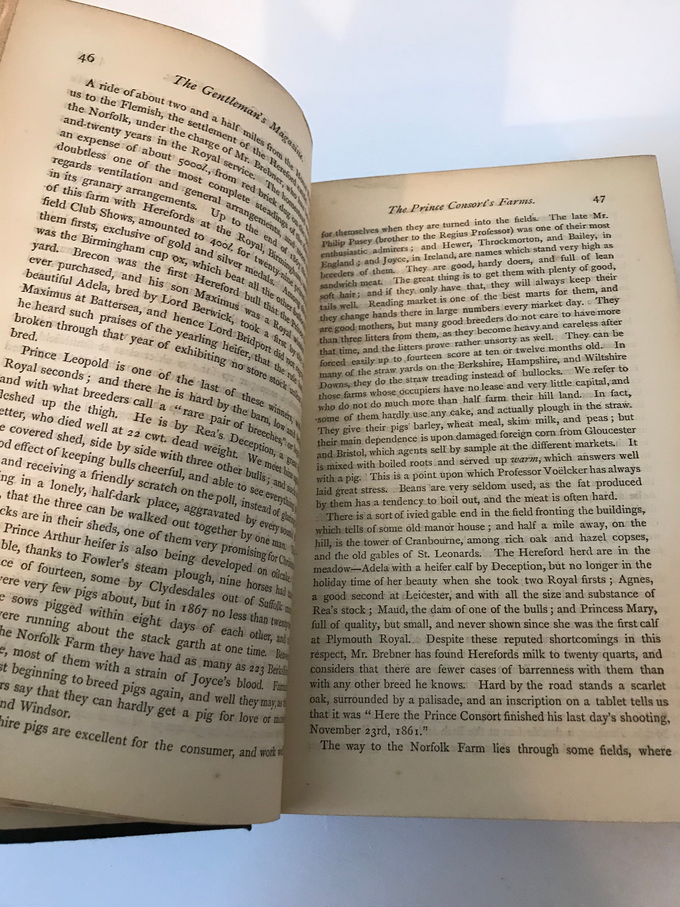 Gentlemans Magazine 1970 Antique Book 1870s Book Antique Collectible - Etsy