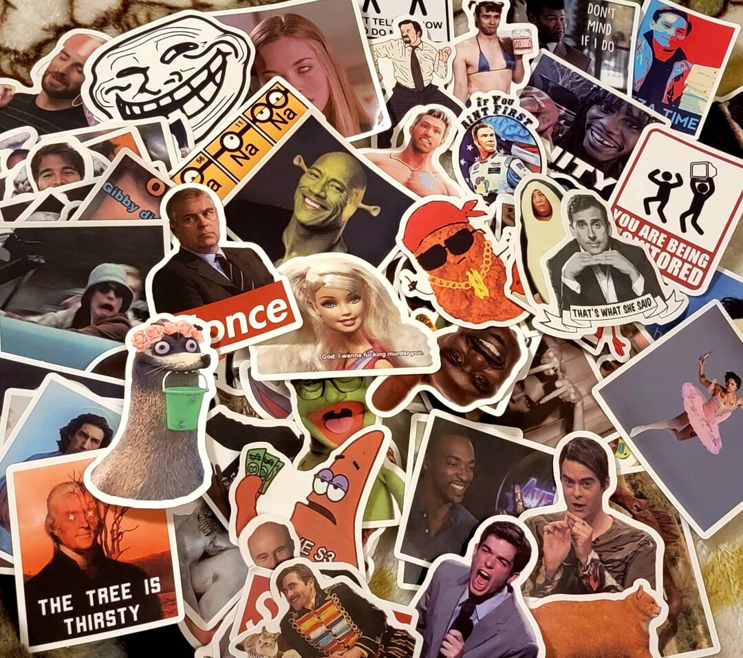 15 Piece Meme Sassy Attitude Stickers Mystery Pack Version 1.0 Funny ...