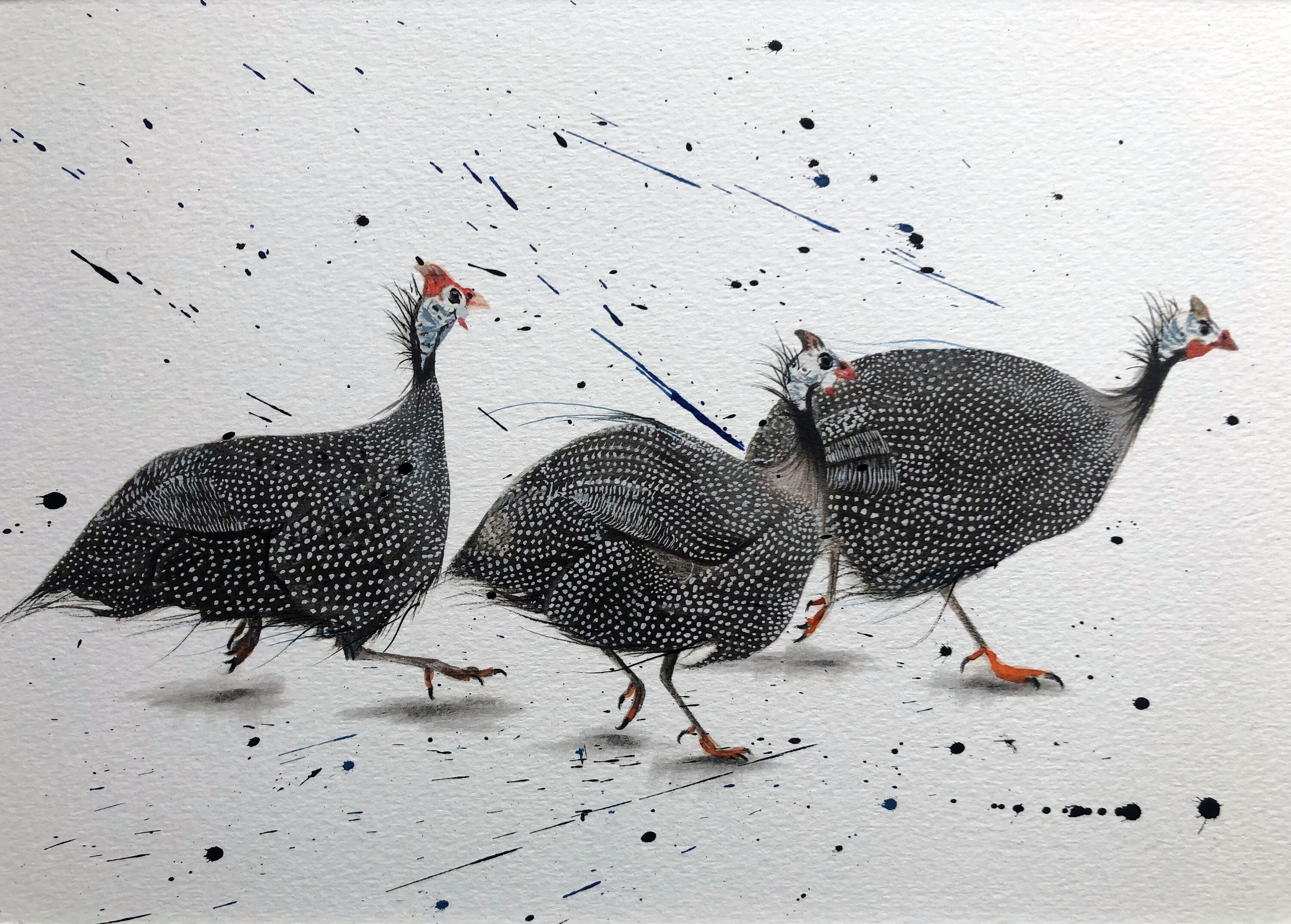 Guinea Fowl Running Hand Finished Print Hand Signed. - Etsy UK