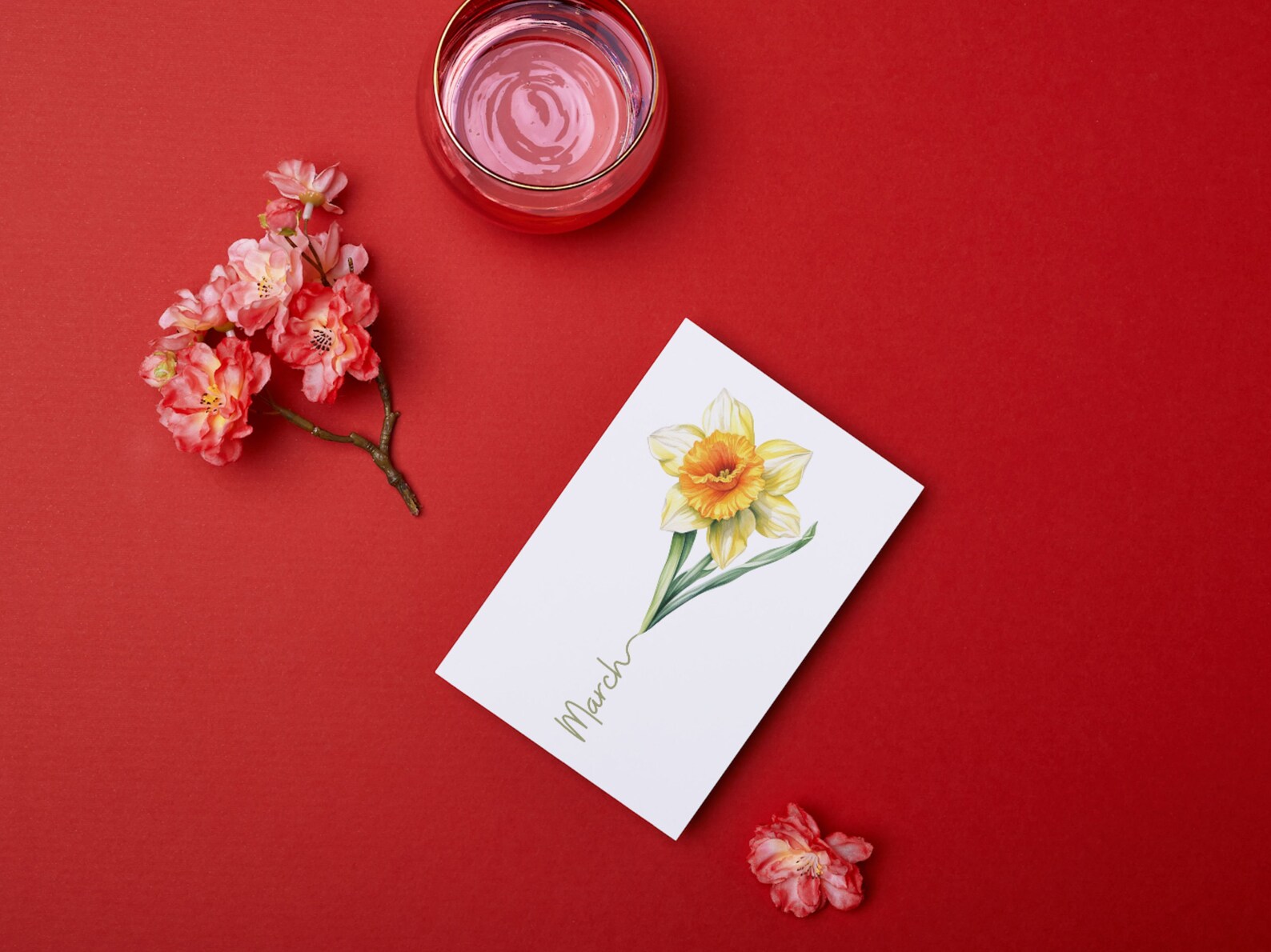 Flor De Nacimiento Marzo, Narciso, Birthflower March Daffodil, 2 ...