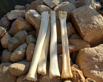 Deer Leg Bone - Etsy