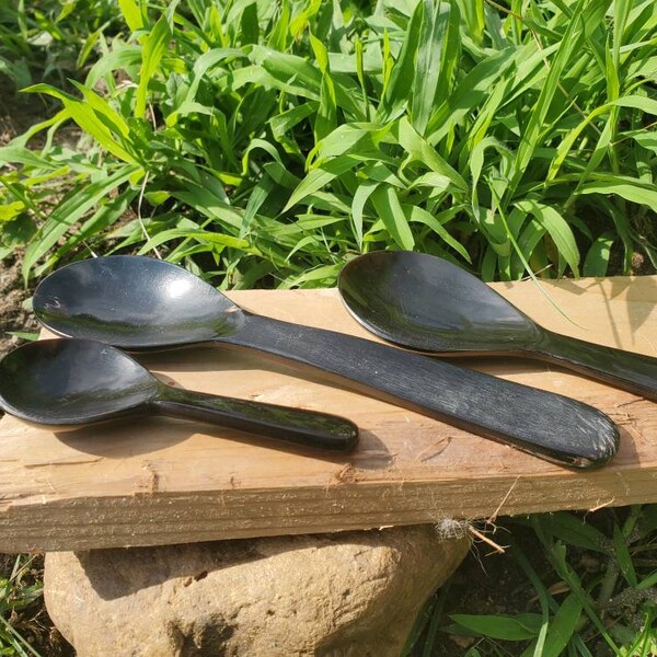 Horn Spoon - Etsy