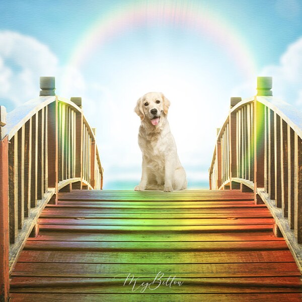 Rainbow Bridge - Etsy
