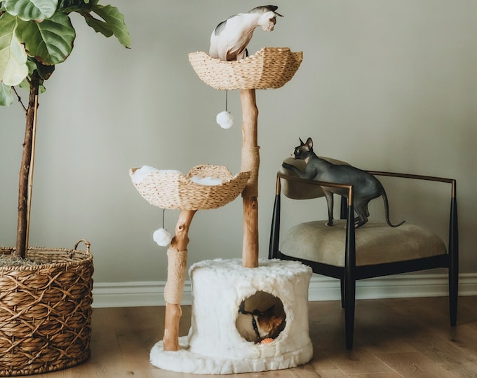 Etsy Design Awards Winner 2022 Rectangular Cat House, Large Cat House ...