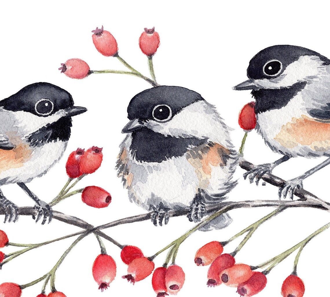 Three Chickadees on a Branch Art Print / Chickadee Art Print / - Etsy