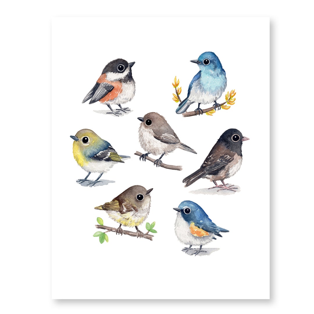 North American Bird Art Print / Watercolor Birds / Bird Print ...