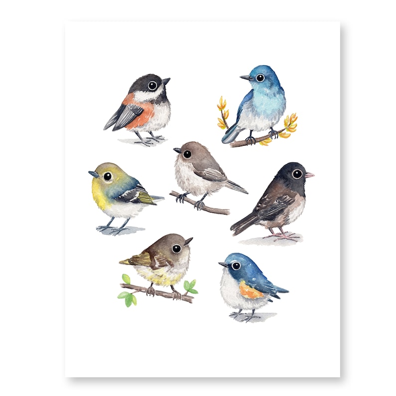 North American Bird Art Print / Watercolor Birds / Bird Print | Etsy Canada