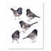 Three Chickadees on a Branch Art Print / Chickadee Art Print / Cute ...