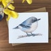 Set of 4 Illustrated Bird Cards / Blue Bird Card Pack / Bird - Etsy