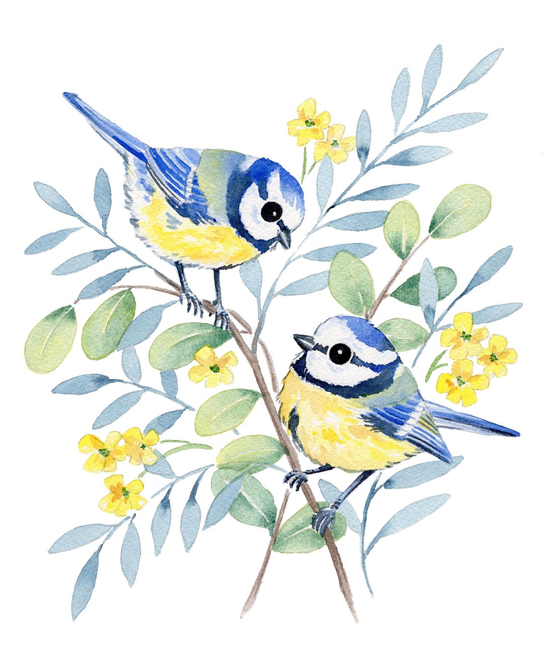 Blue Tits Art Print / Bird and Blooms Art Print / Cute Bird Art / Gift ...