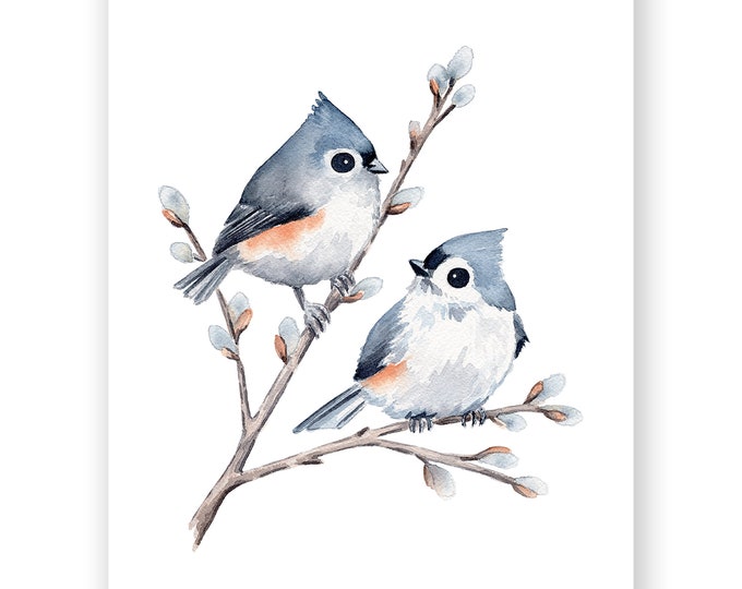 Tufted Titmice in the Willows Watercolor Art Print / Tufted Titmouse ...