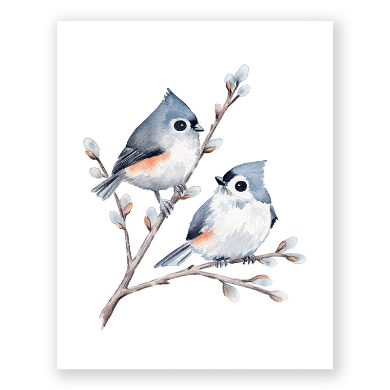 Tufted Titmouse - Etsy