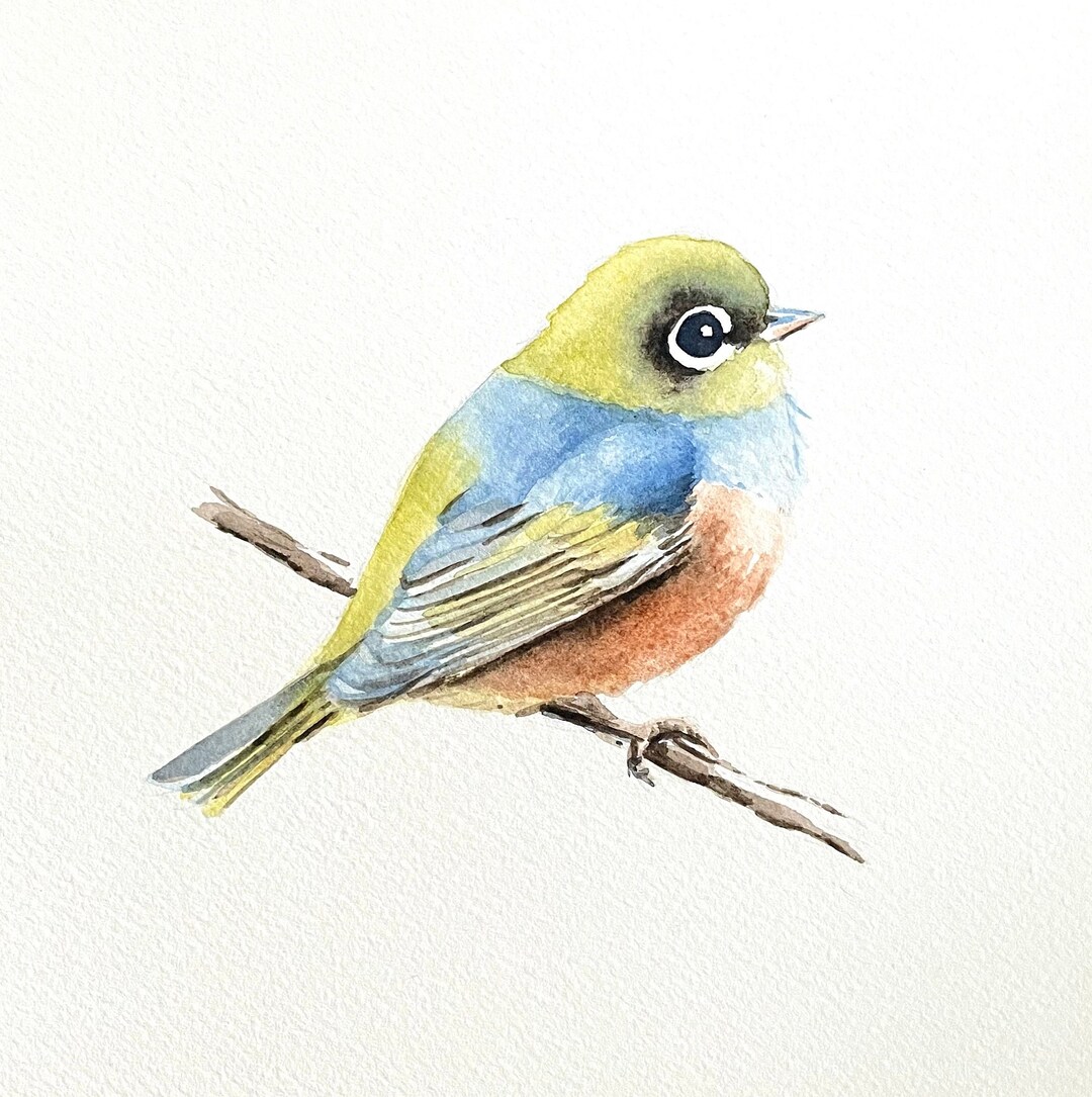 7"x7" Silver Eye Bird Original Watercolor Painting / Bird Watercolor ...