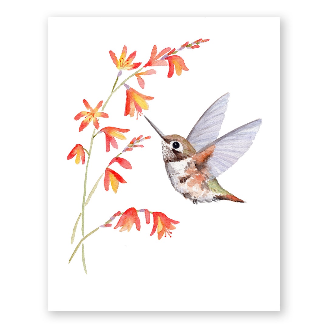 Hummingbird Watercolor Art Print / Watercolor Hummingbird Print / Gift ...