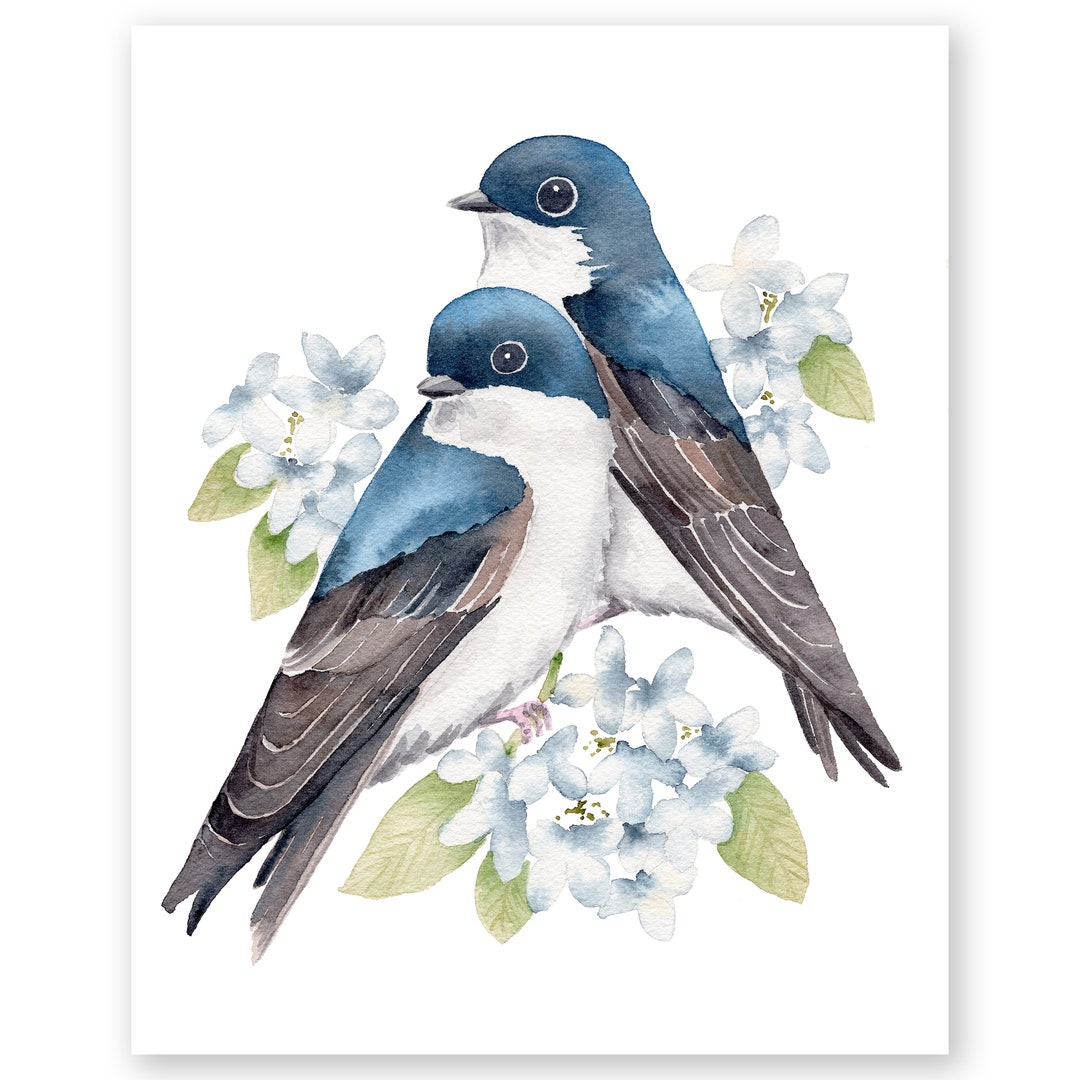 Tree Swallows Watercolor Art Print / Watercolor Tree Swallows Print ...