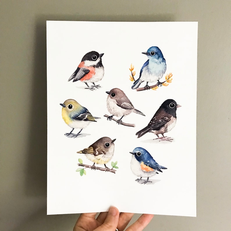 North American Bird Art Print / Watercolor Birds / Bird Print ...