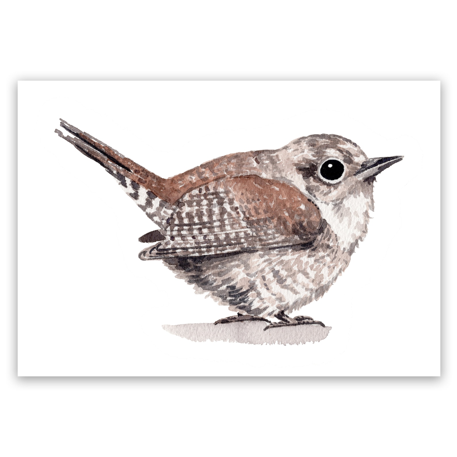 Pacific Wren Art Print / Watercolor Bird / Bird Print / Watercolor Bird ...